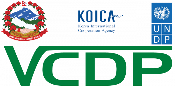 Value Chain Development of Fruit and Vegetables Project (VCDP) : Job ...